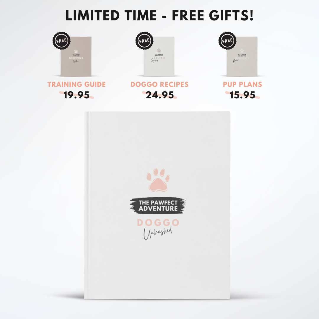 Doggo Unleashed - 50 Scratch Off Dog Adventures – thepawfectadventure